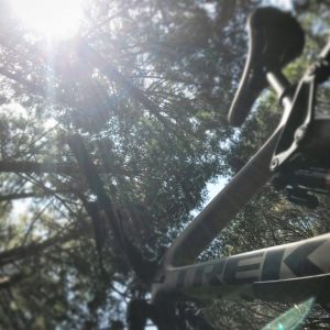 SALTO spring style 2 | 身嗜みを整え、充実して彩りのある日常を